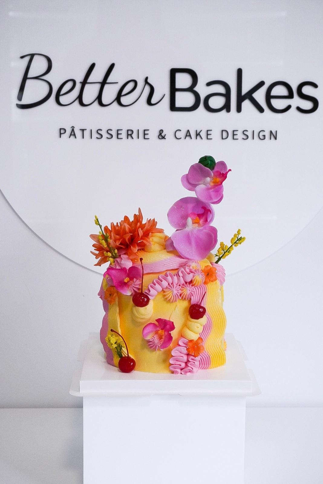 Dome Custom Cakes – BETTER BAKES